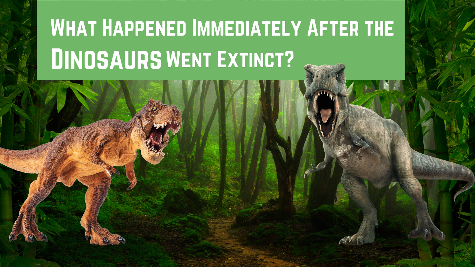 What Happened Immediately After the Dinosaurs Went Extinct? - The ...